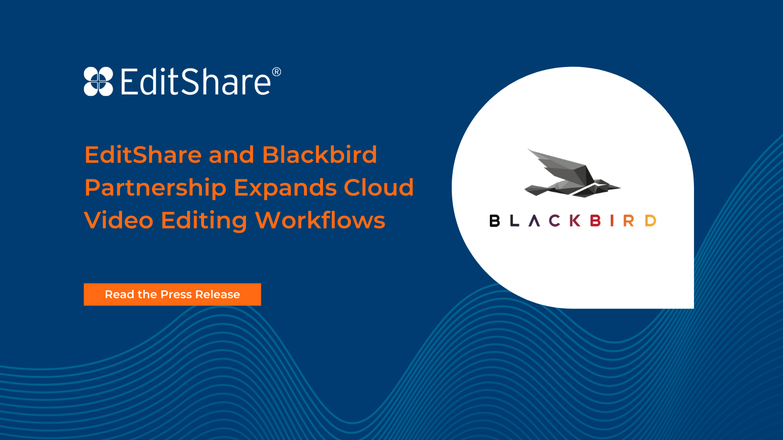 Blackbird Partnership: Expanding Cloud Video Workflows | EditShare